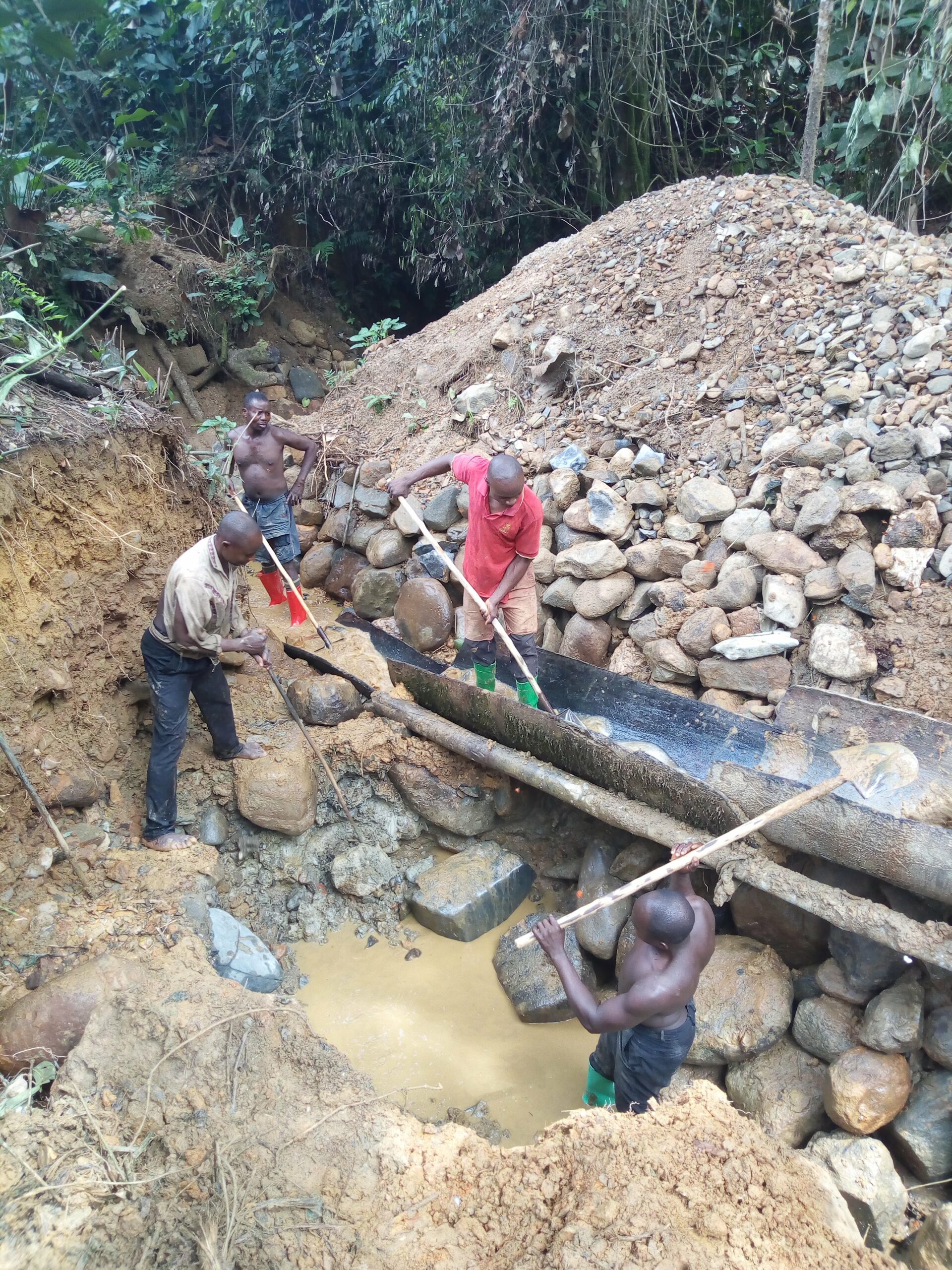 How much does a miner earn? Assessment of miner's revenue & basic needs ...